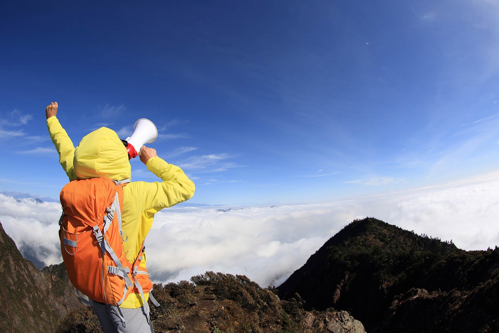 What is Professional Coaching? | Calling Success